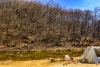 벚꽃캠핑하기 좋은 충남 천안 병천천 무료 차박 노지 계곡 캠핑장 추천 간단한 캠핑 요리 아침 메뉴 네이버 블로그